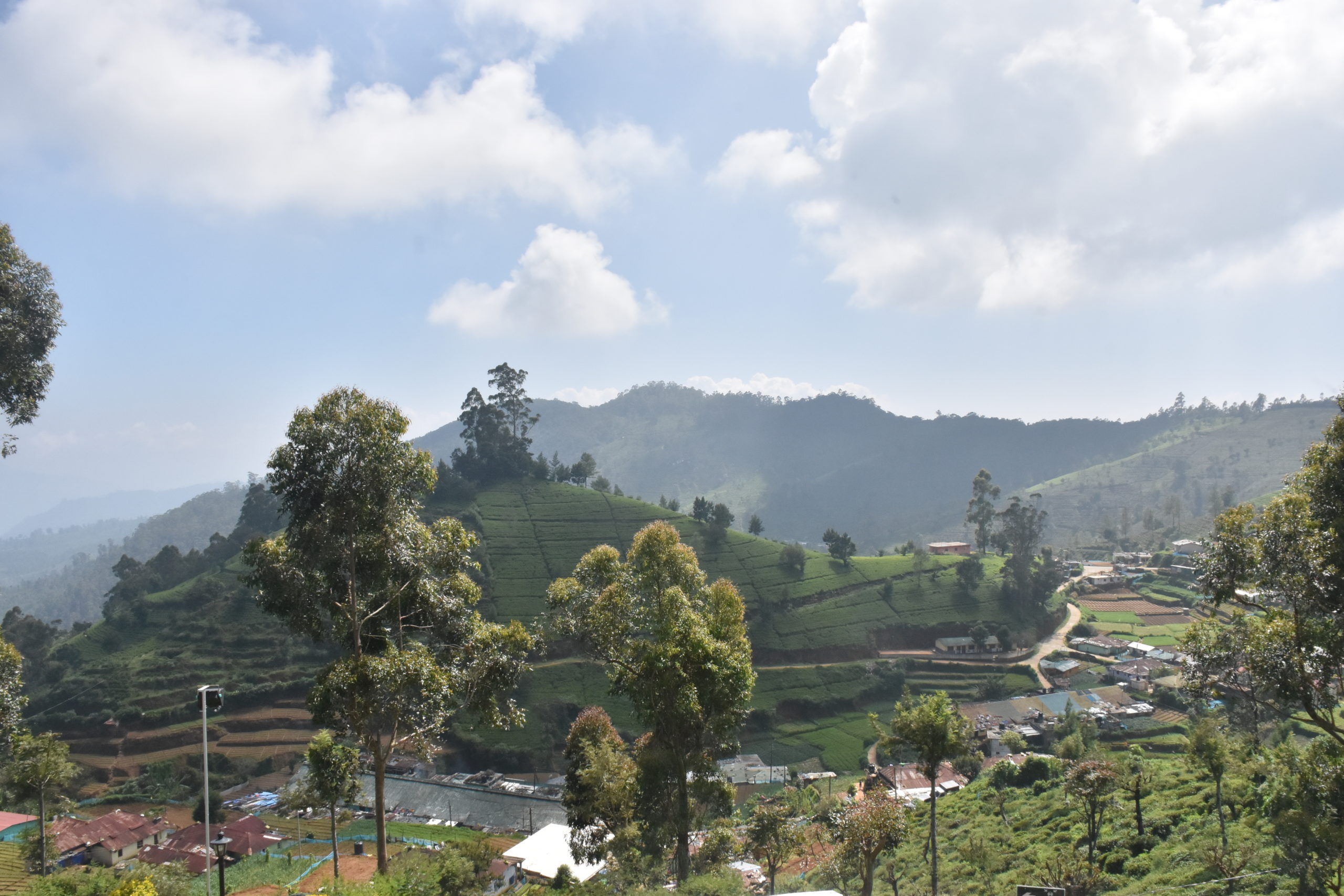 Heritance Tea Factory Review-Exploring World's Finest Tea | Duo Escapes